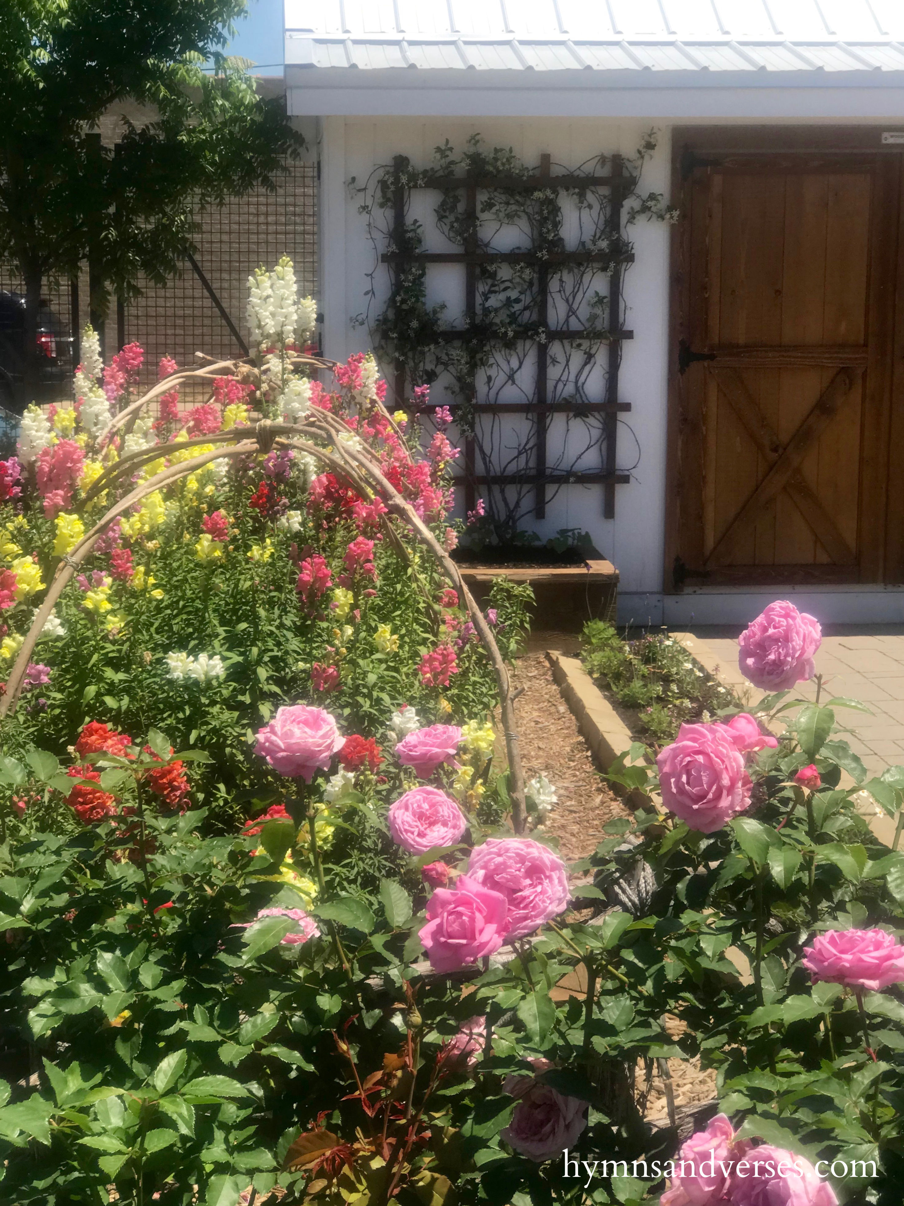 Visiting Waco - The Silos at Magnolia Market | Hymns and Verses